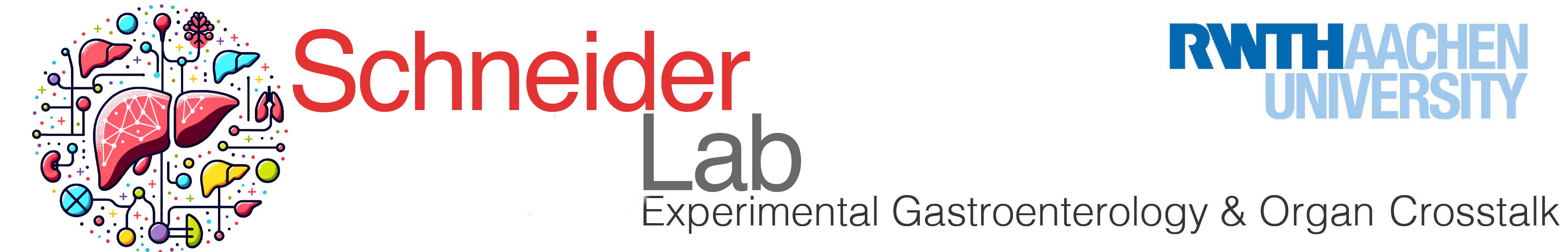 schneiderlab.de